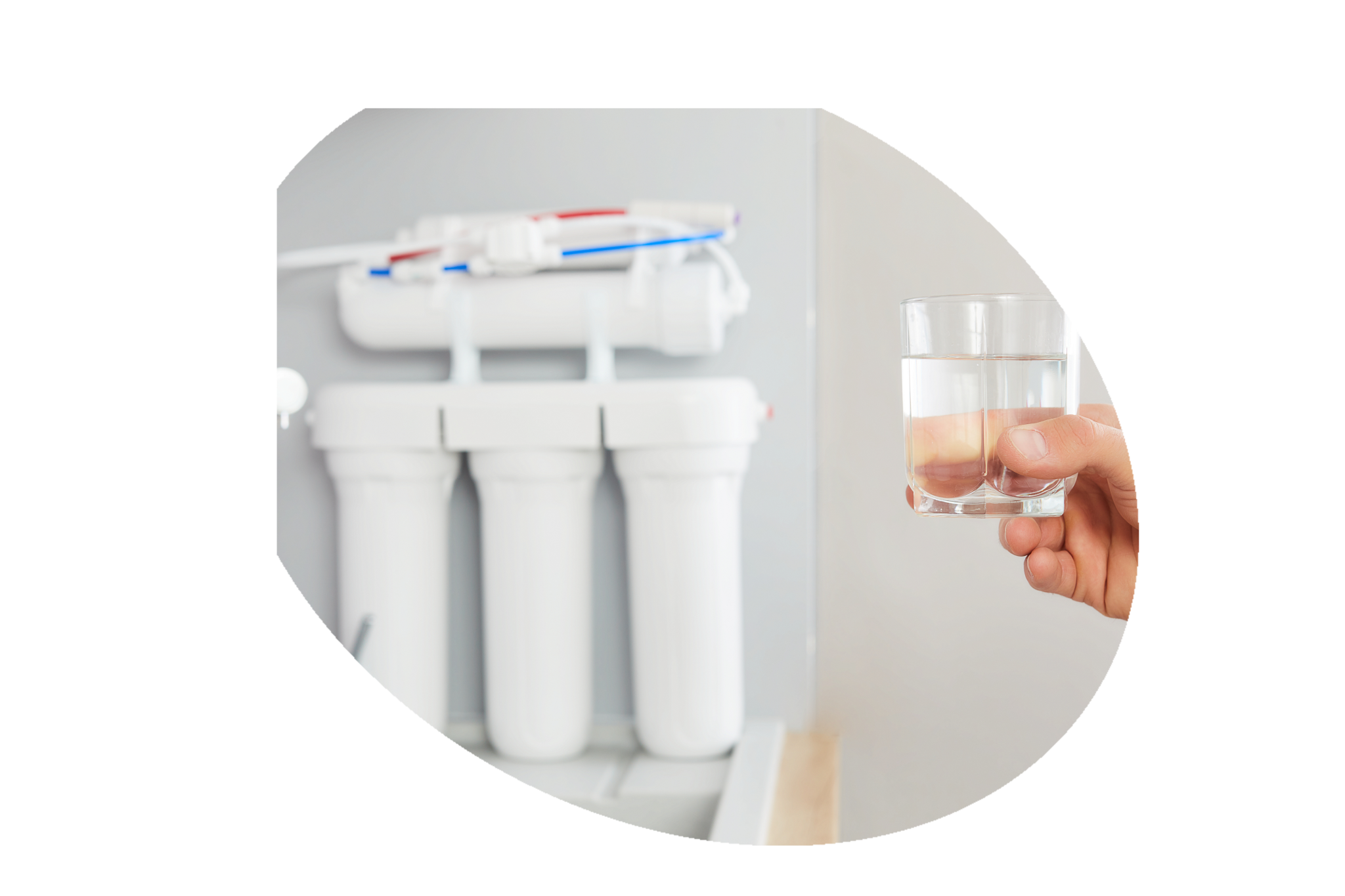 Water Filtration Company in Florida | Florida True Water